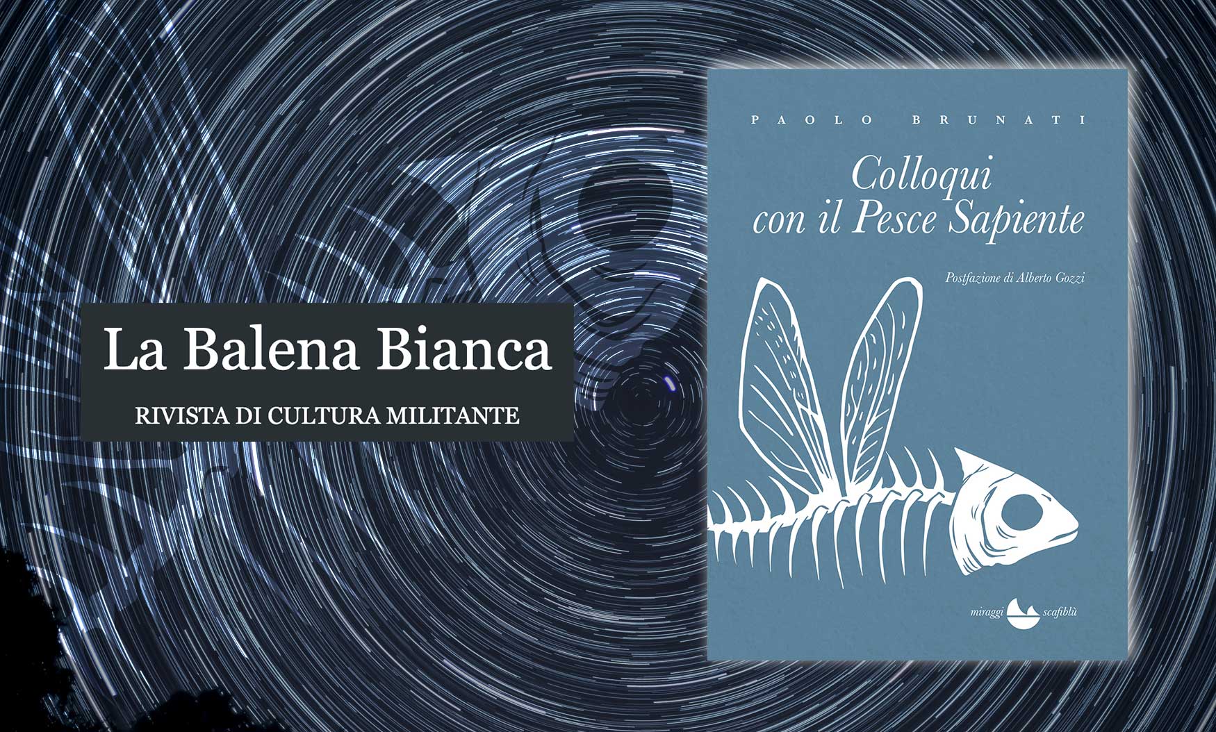 Paolo Brunati su La Balena Bianca (Roberto Batisti) - Miraggi Edizioni